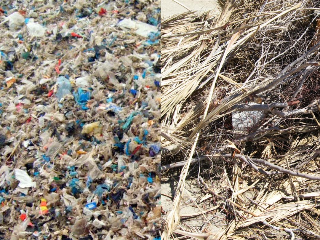 Home [zerowasteindia.info]