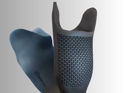 Orthotics and Prosthetics